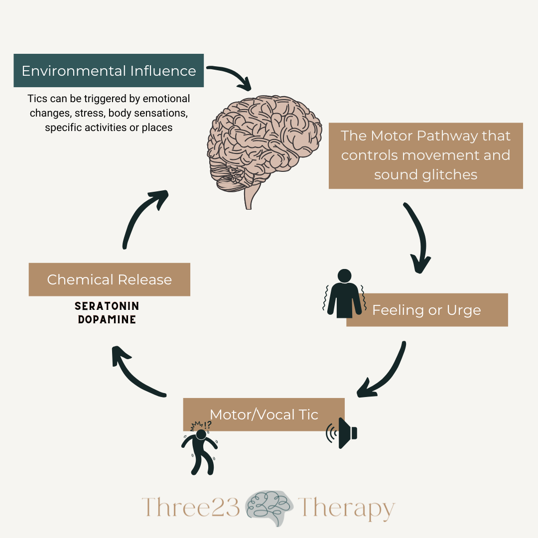 Understanding the Neurological Process of Tics | three23therapy.com